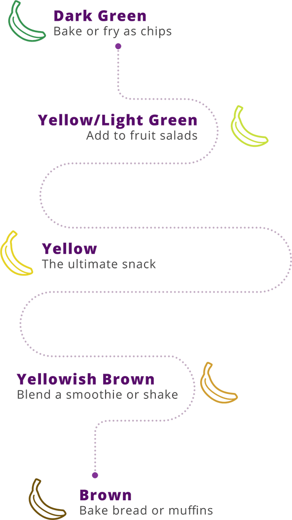 ONE. The better banana company.
