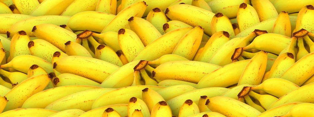 Premium Bananas | One Bananas